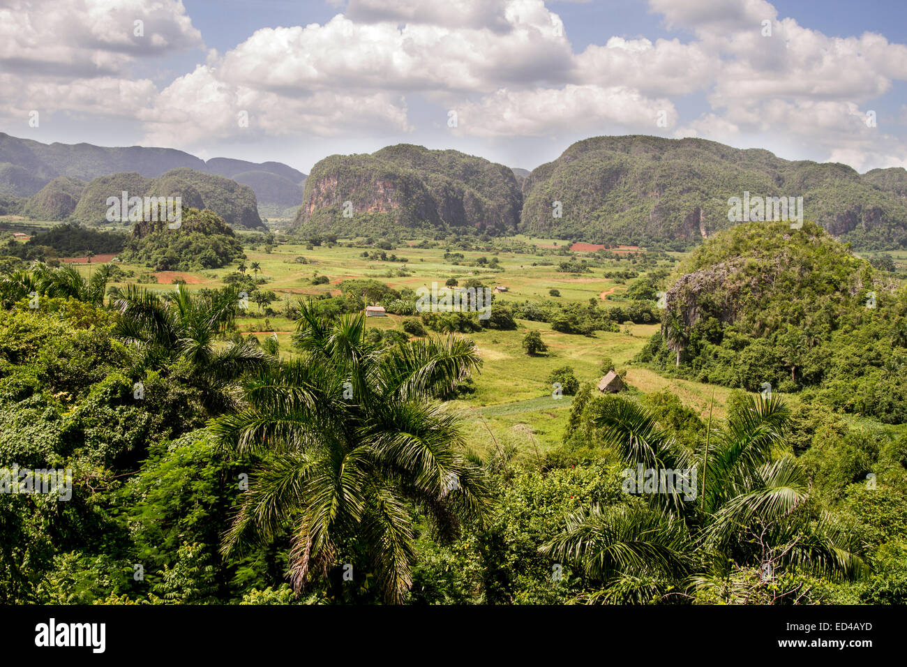Mogotes in Valle de Viñales, Cuba Stock Photo - Alamy