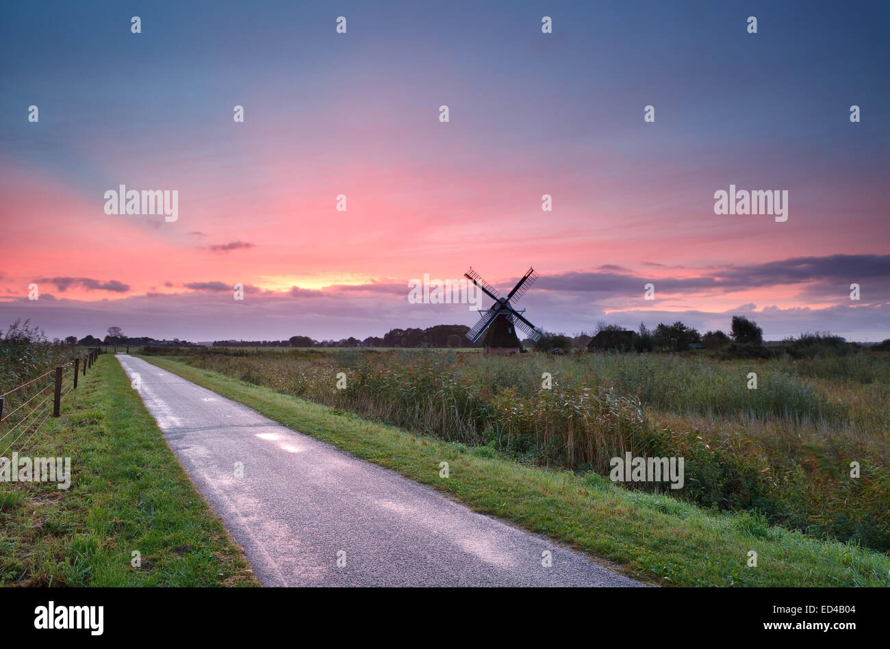 Purple windmill hi-res stock photography and images - Alamy