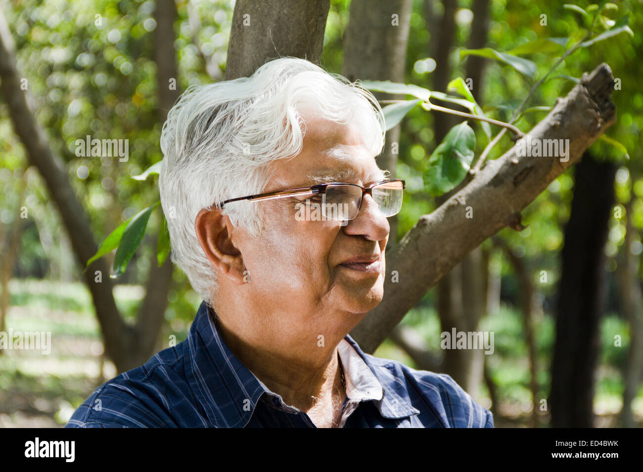 indian Old man park enjoy Stock Photo - Alamy