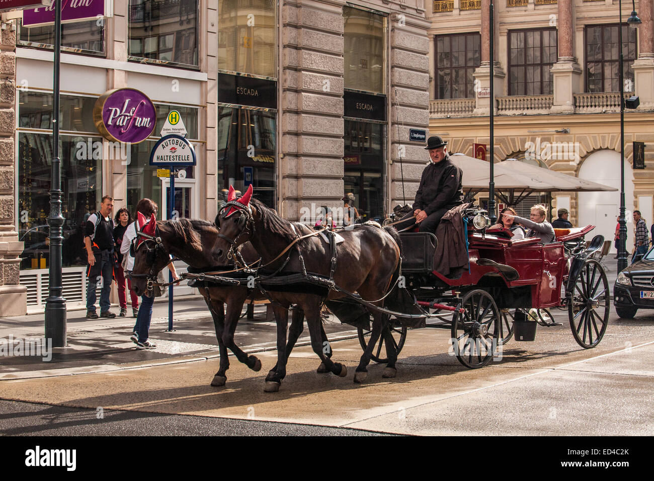 Vienna horses hi-res stock photography and images - Alamy
