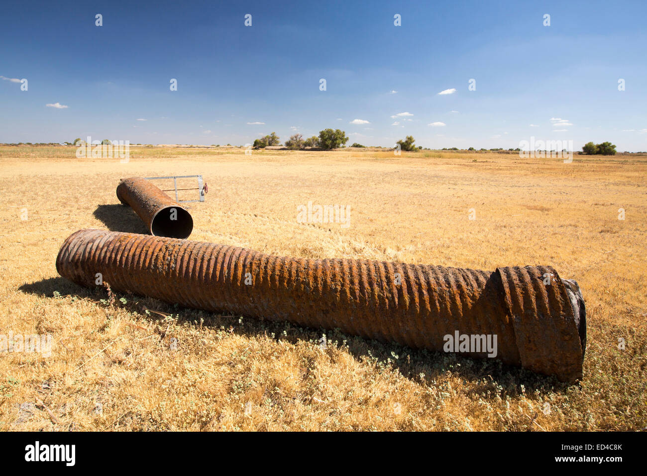 Kern valley wildlife refuge hi-res stock photography and images - Alamy