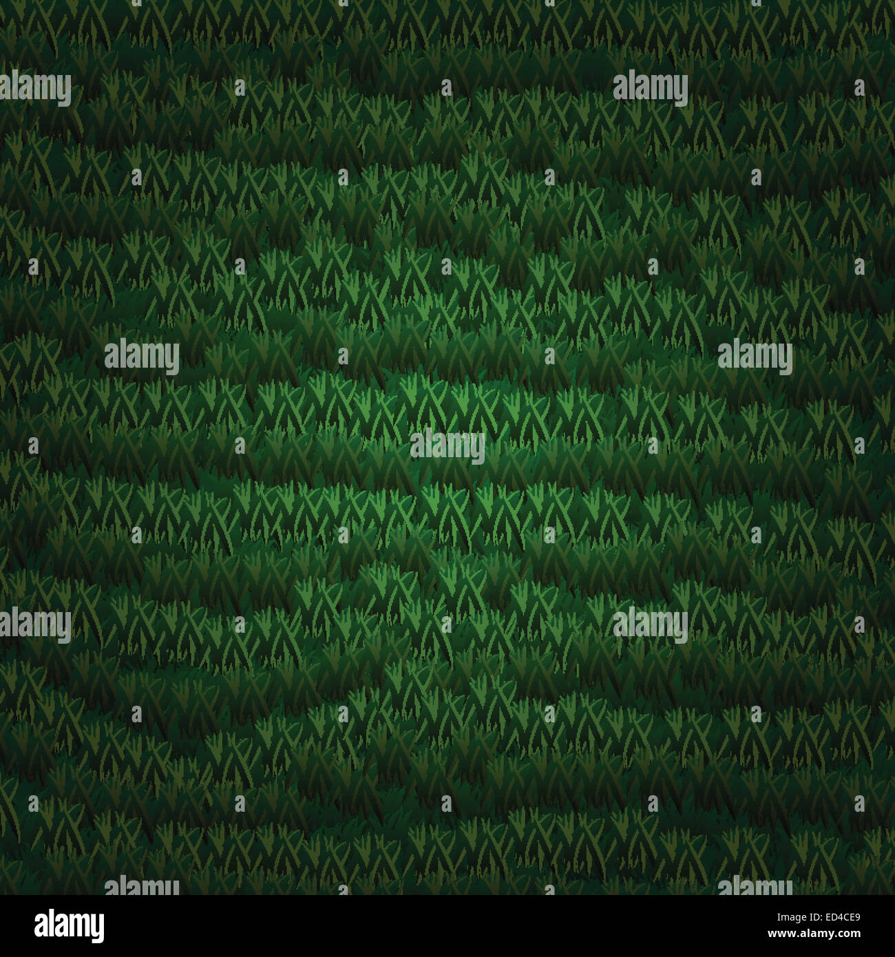 Pattern of green grass closeup. Vector illustration Stock Photo - Alamy