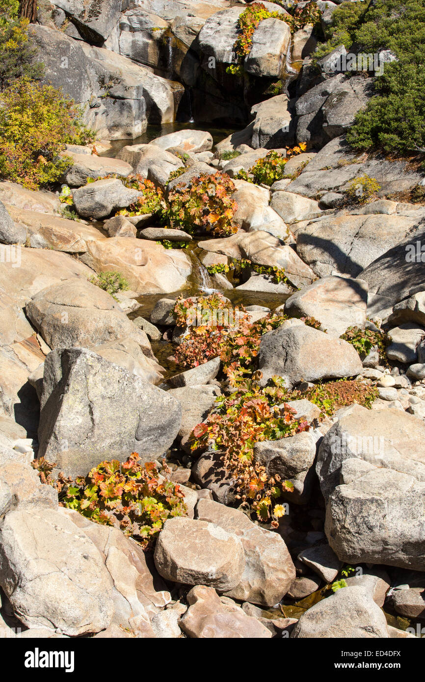 El dorado river hi-res stock photography and images - Alamy
