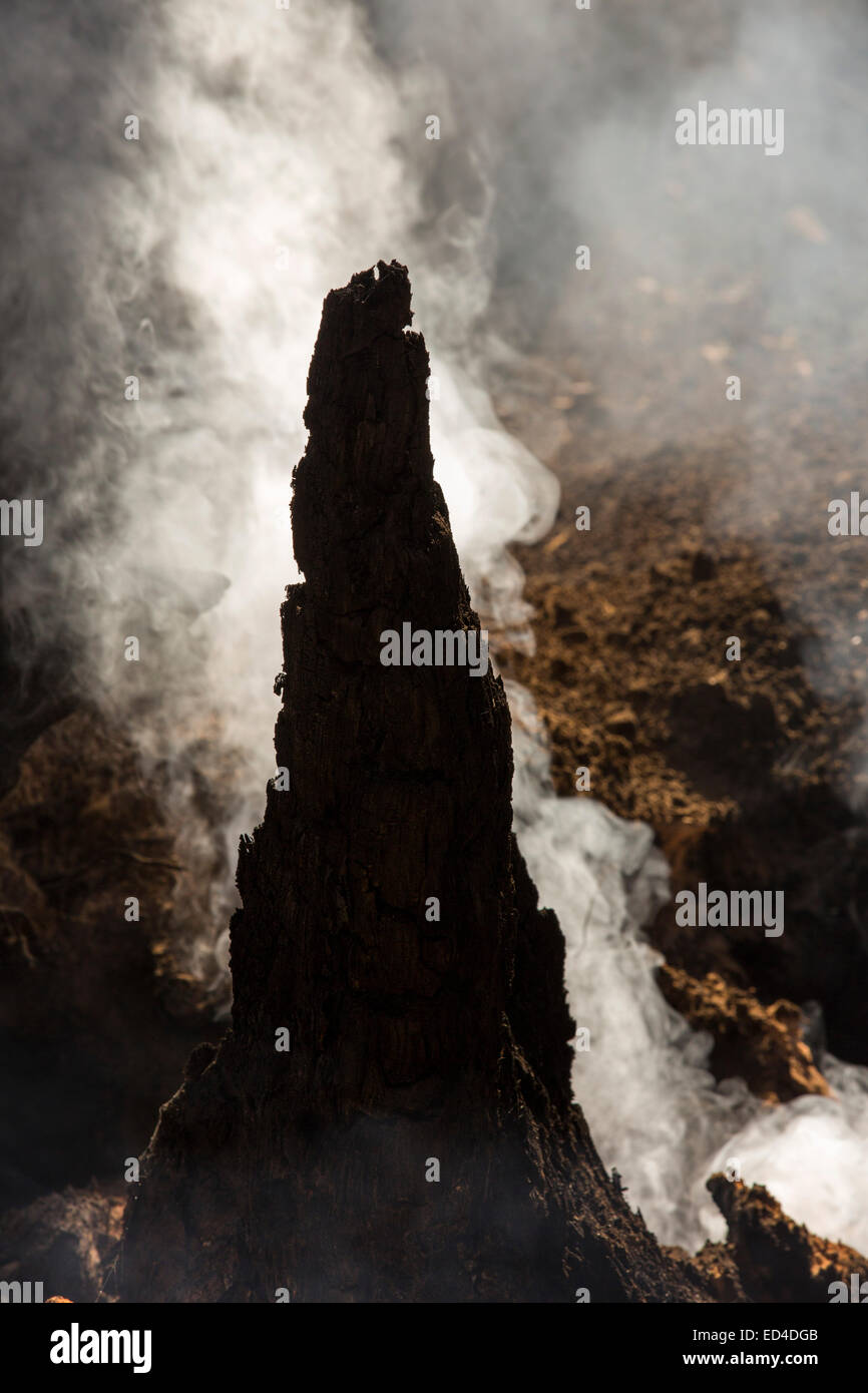 The King Fire that burnt thousands of acres of the El Dorado National ...