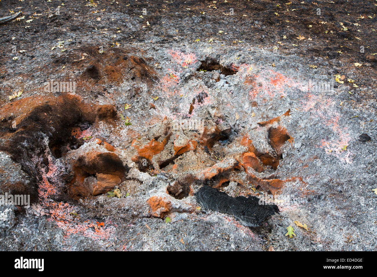 The King Fire that burnt thousands of acres of the El Dorado National ...