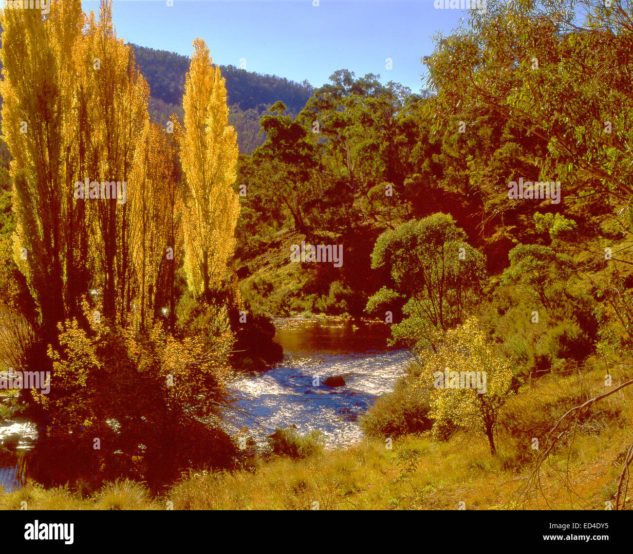 Crackenback river hi-res stock photography and images - Alamy