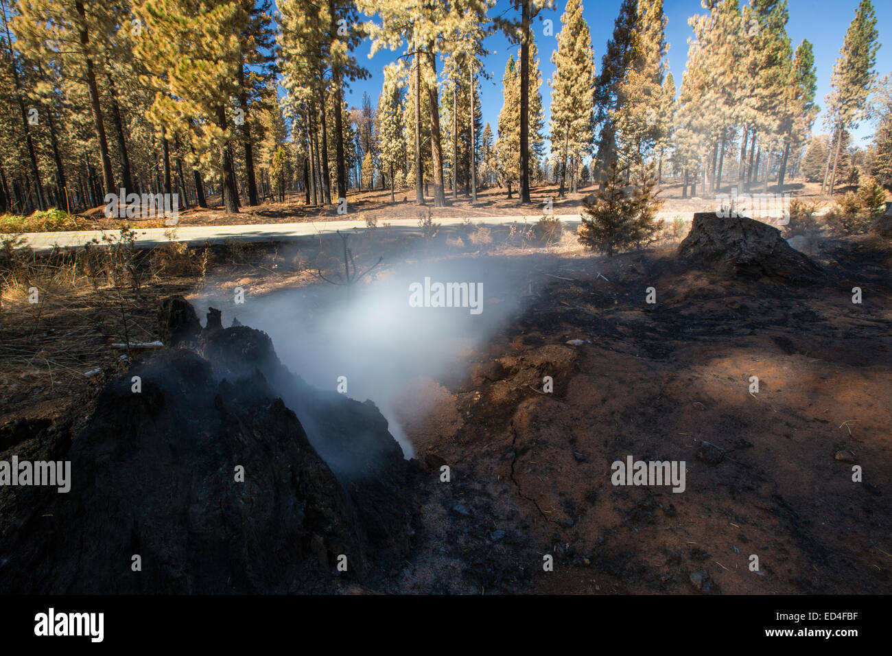 The King Fire that burned 97,717 acres of the El Dorado National Forest ...