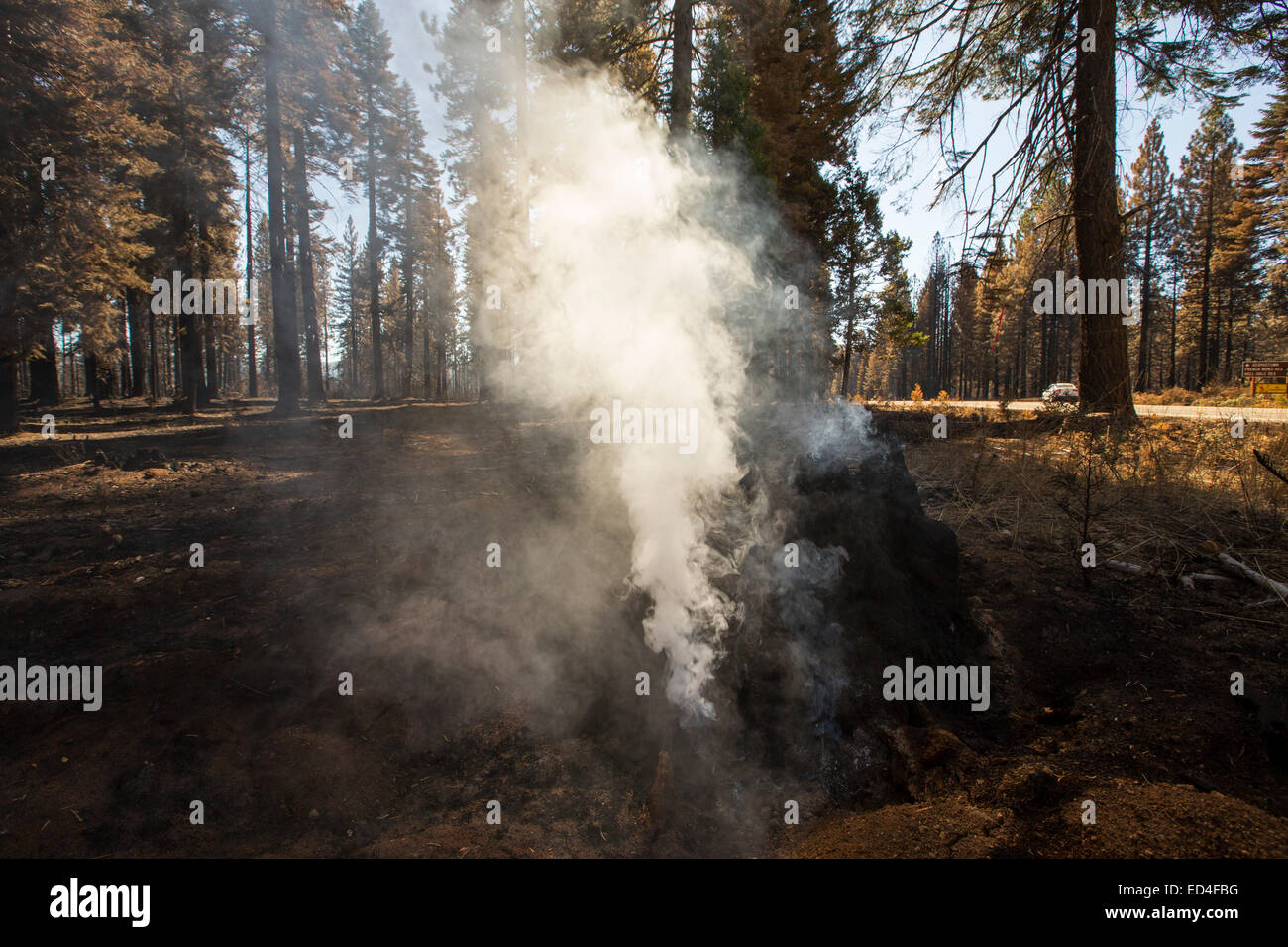 The King Fire that burned 97,717 acres of the El Dorado National Forest ...