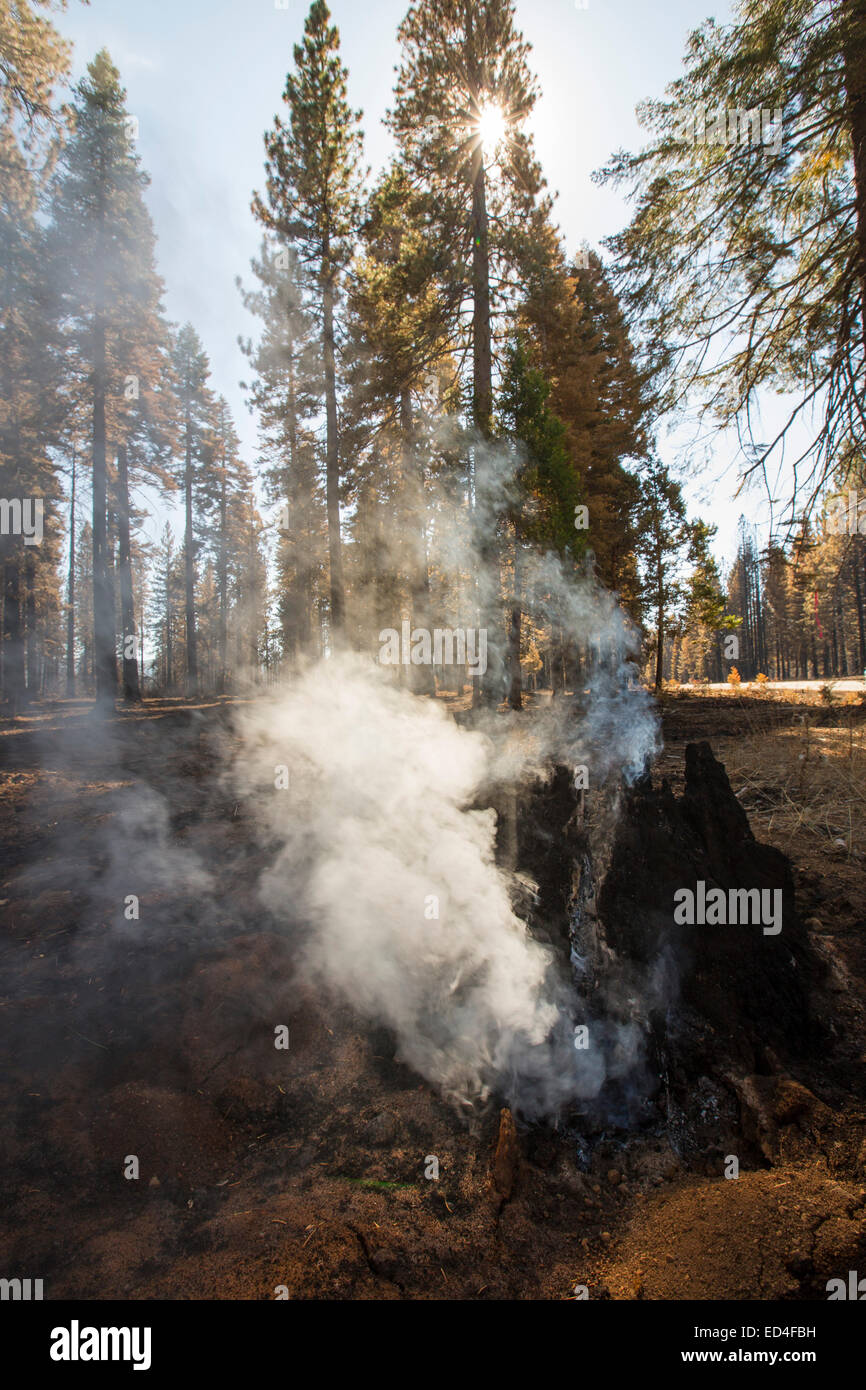 The King Fire that burned 97,717 acres of the El Dorado National Forest ...