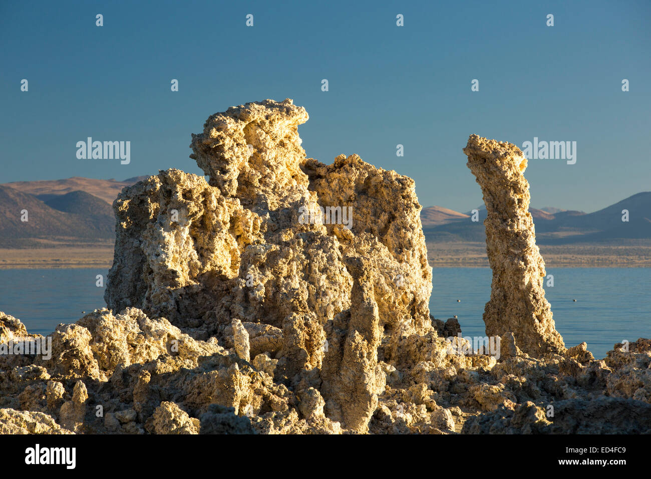 The famous tufa formations on Lake Mono, California, USA Stock Photo ...