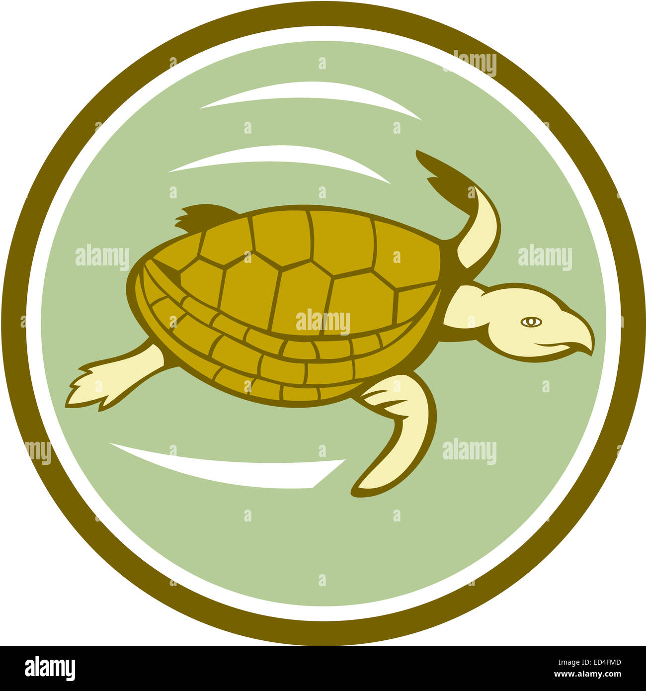 Illustration of a sea marine turtle swimming viewed from the side set ...