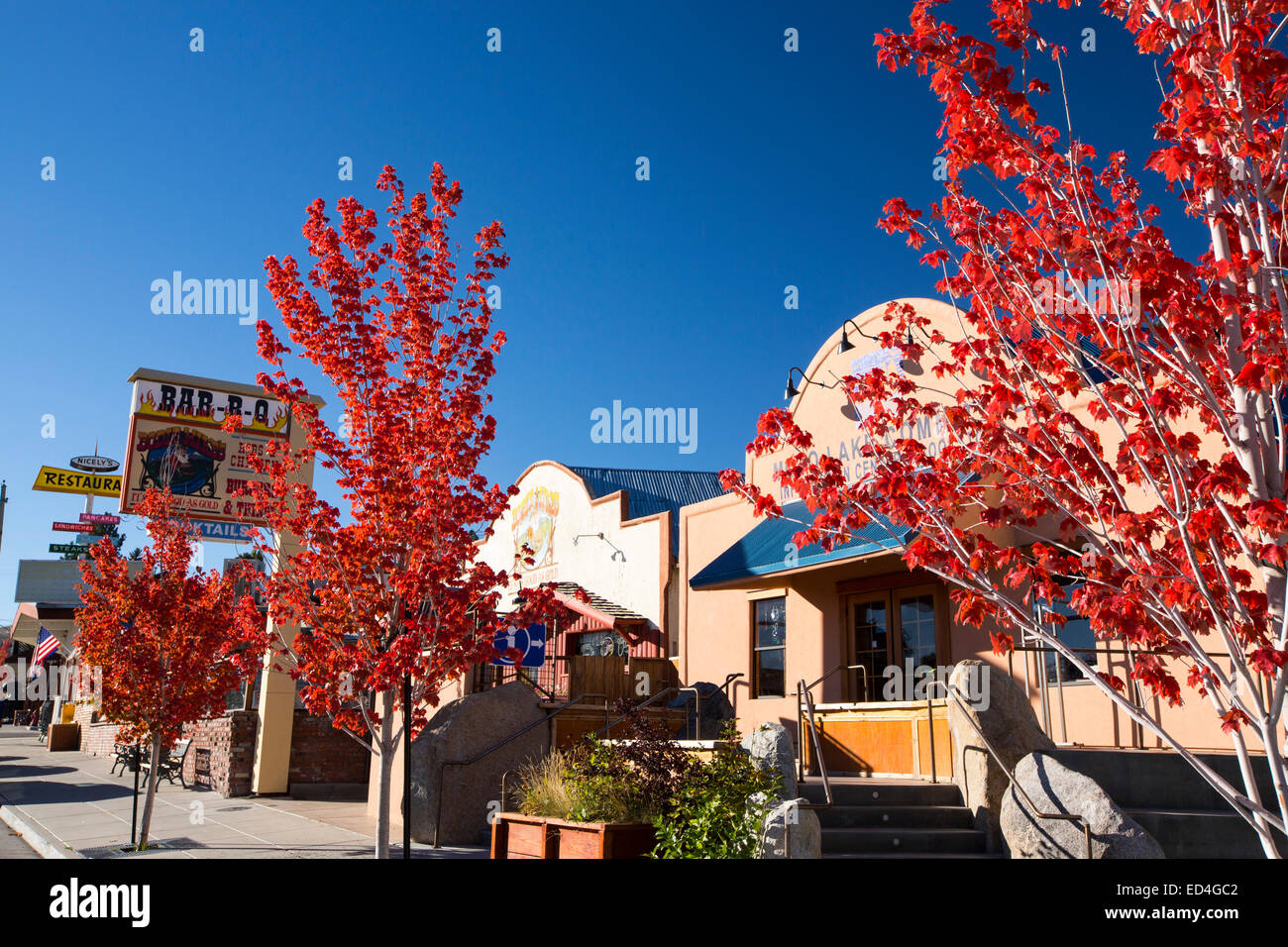 Fall colours in Lee Vining, California, USA Stock Photo - Alamy