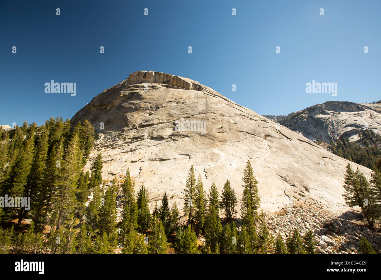 A granite dome in Yosemite National Park, California, USA Stock Photo ...