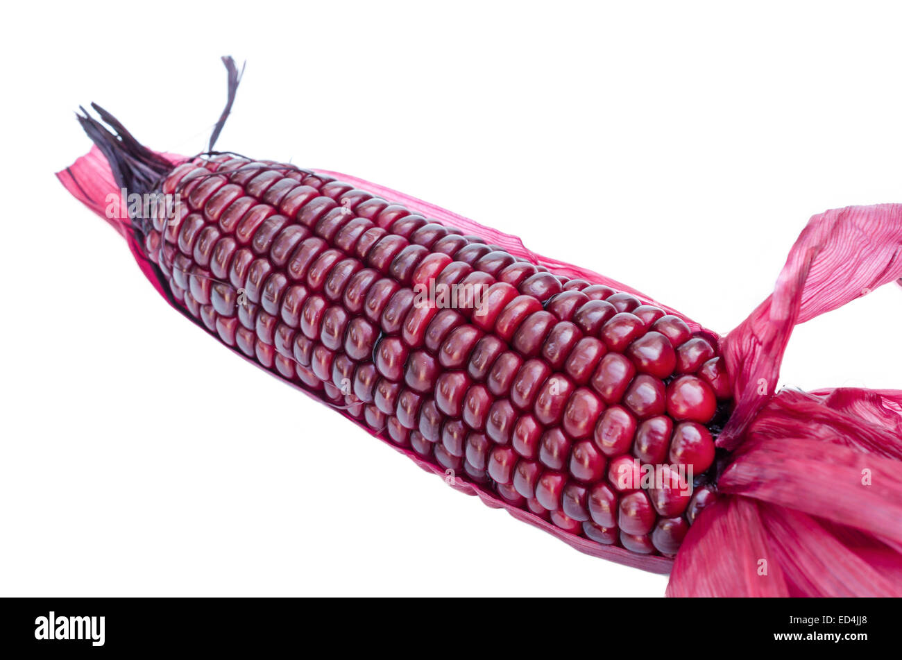 Purple corn seeds hi-res stock photography and images - Alamy