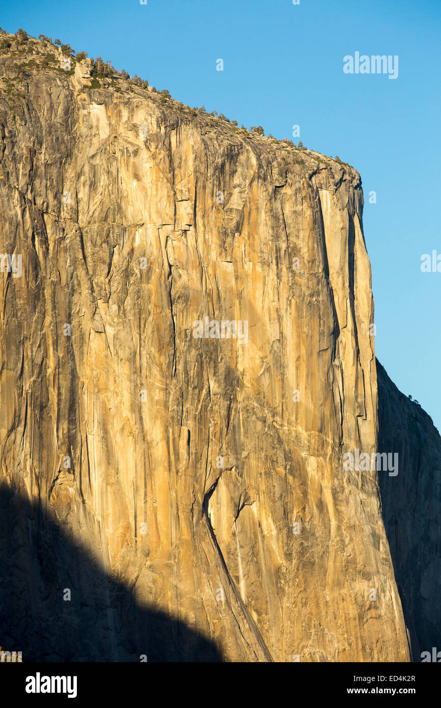 El Capitan, the most famous big wall in the Yosemite Valley, California ...