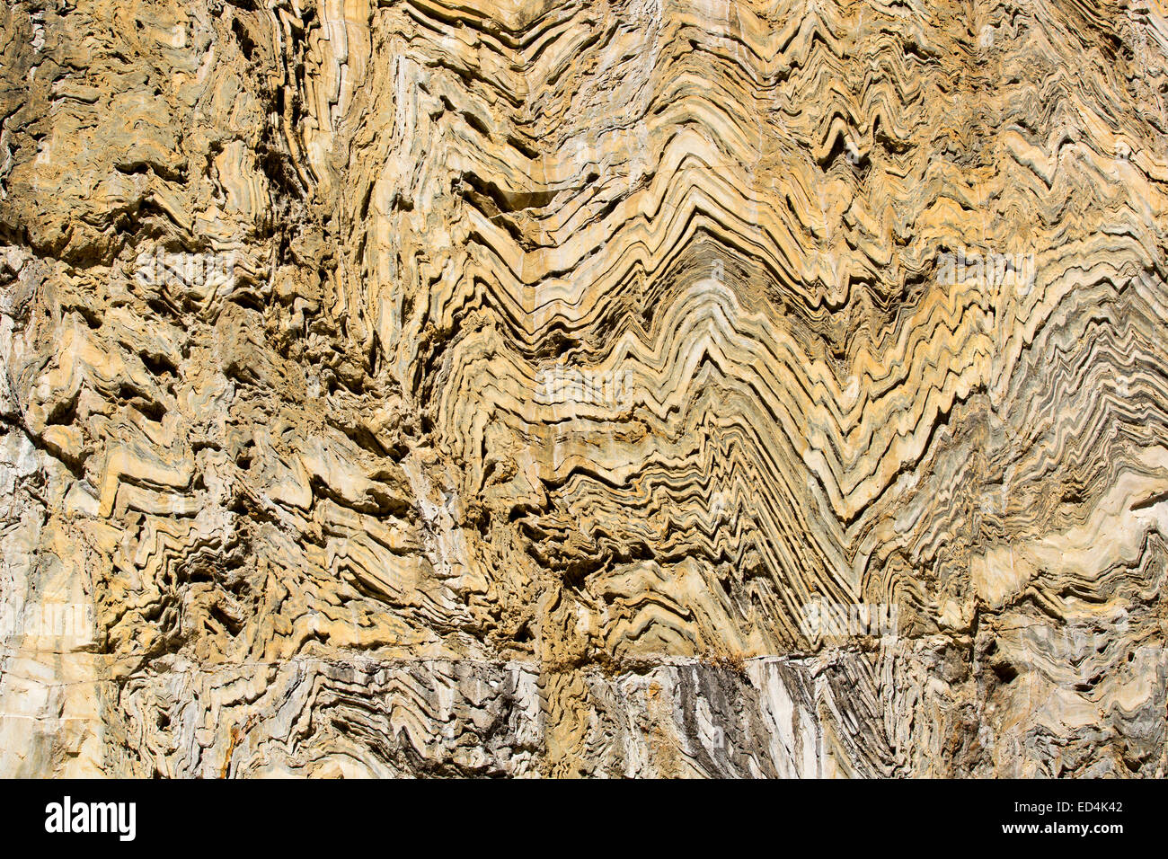 Folded metamorphic rock in Kings Canyon National Park, California, USA ...