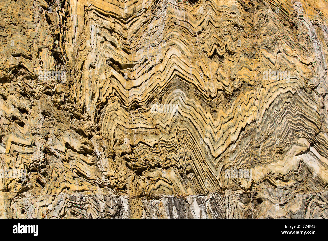 Folded metamorphic rock in Kings Canyon National Park, California, USA ...
