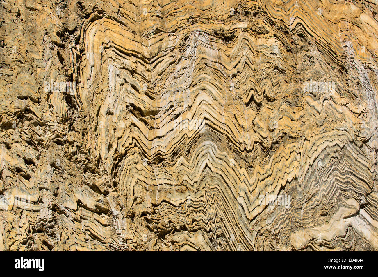 Folded metamorphic rock in Kings Canyon National Park, California, USA ...