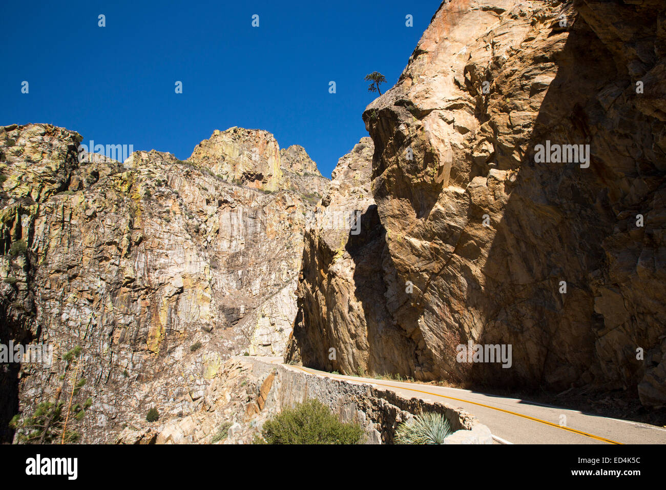 A road into Kings Canyon National Park, California, USA Stock Photo - Alamy