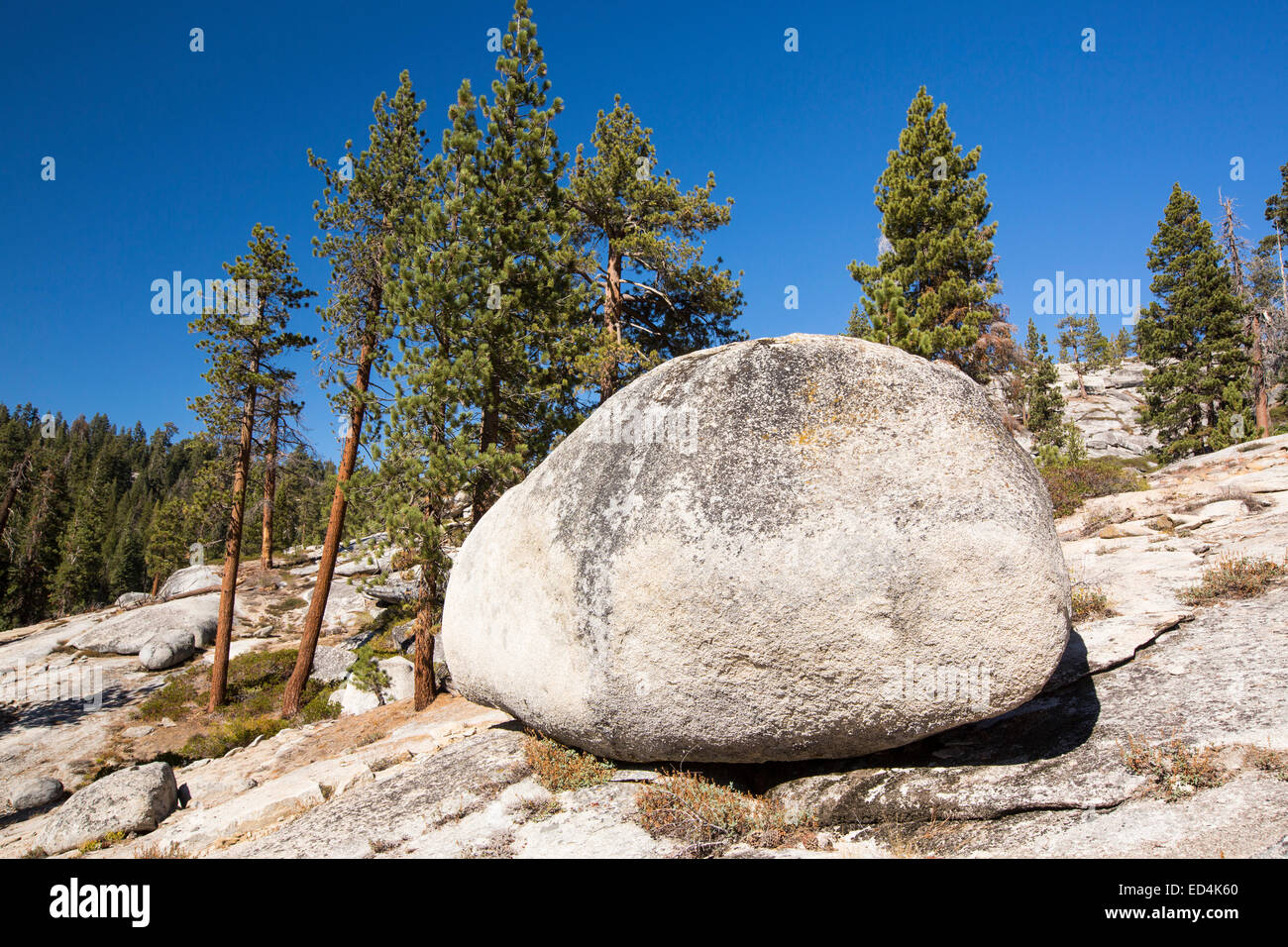 A granite boulder in Sequoia National Park, California, USA Stock Photo ...