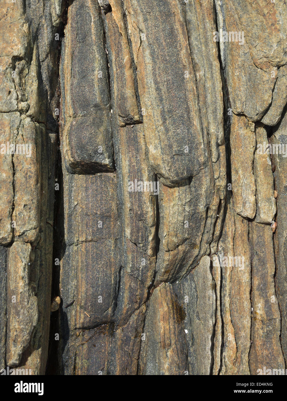 Vertical background of banded metamorphic rock, Southern Province, Sri ...