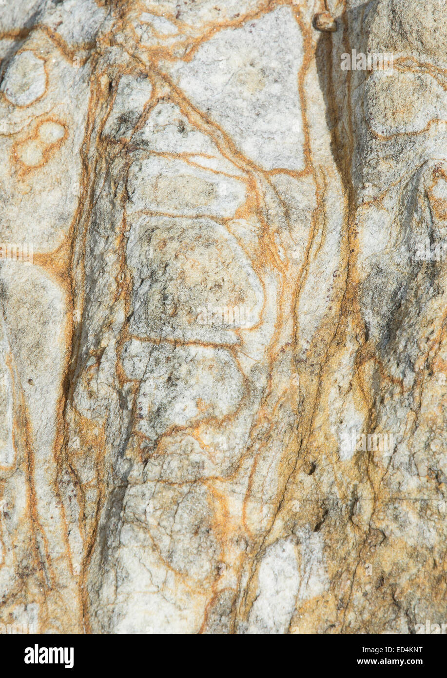 Rock background texture. Metamorphic rock with interesting natural ...