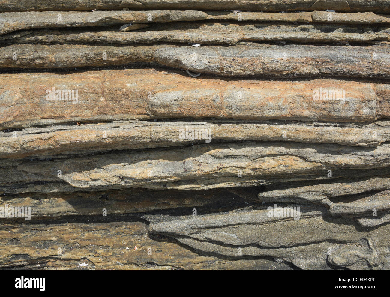 Sri lankan background texture hi-res stock photography and images - Alamy