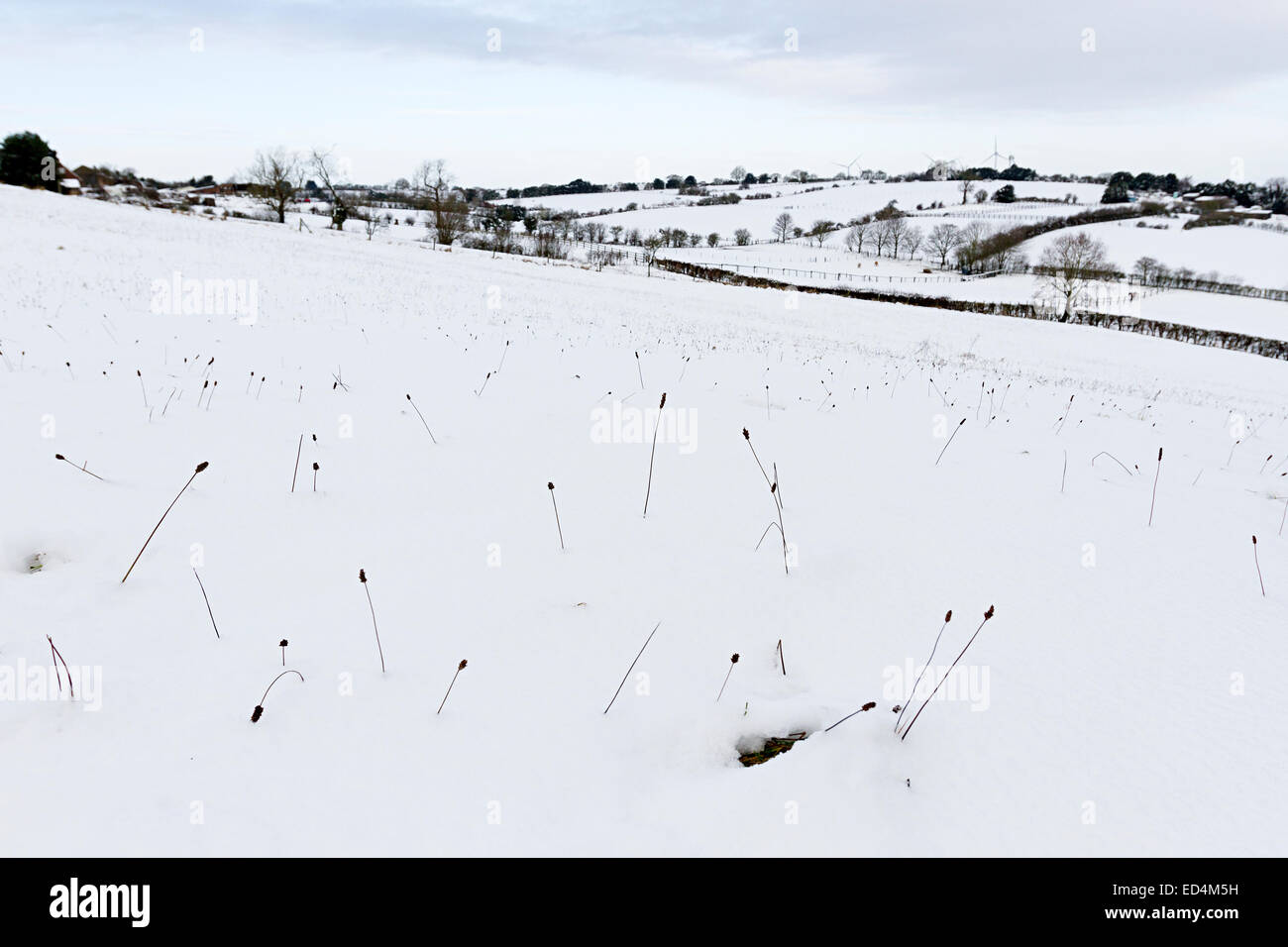 Blidworth, Nottinghamshire, UK. 27th Dec, 2014. After a night of ...