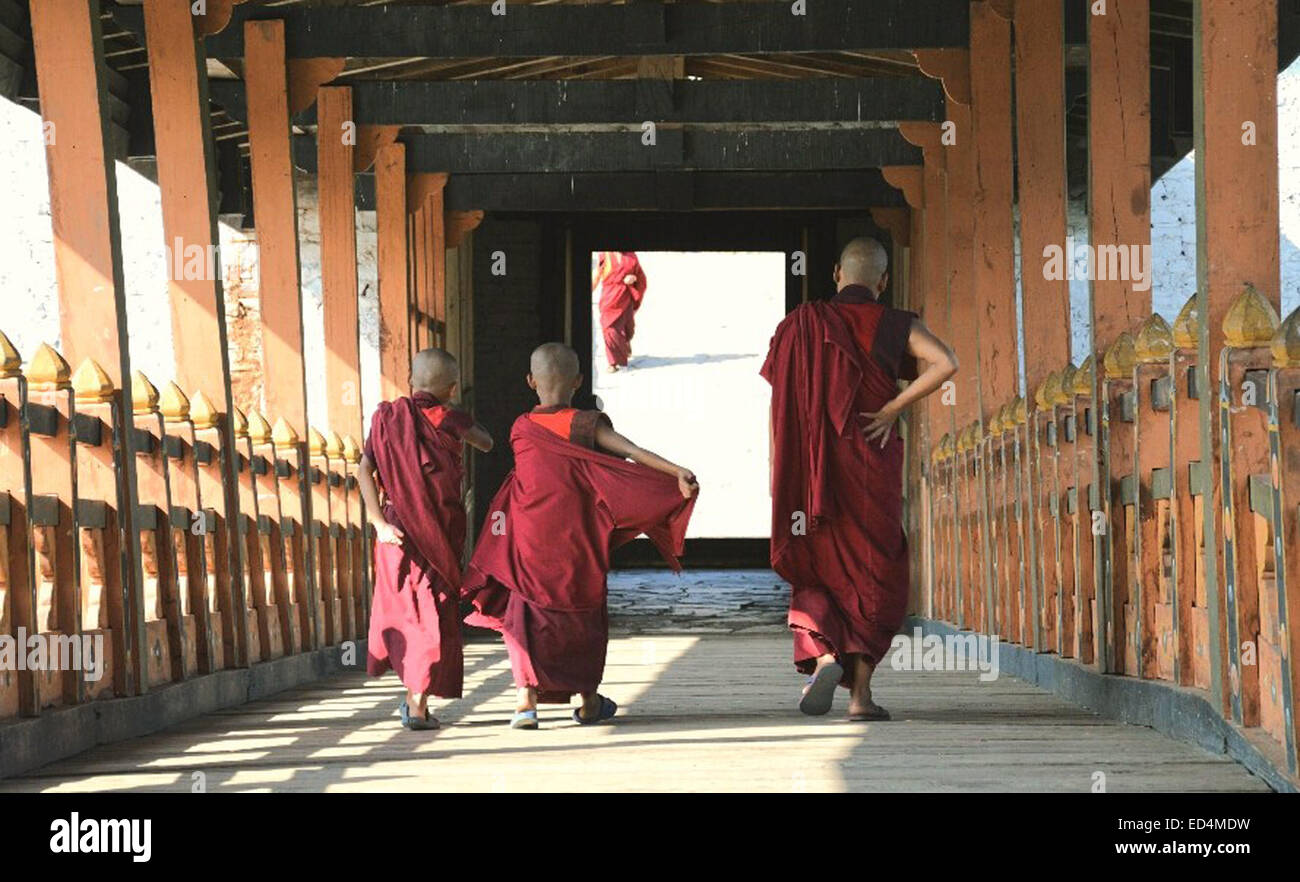 Child Buddhist monks - Bhutan Stock Photo - Alamy