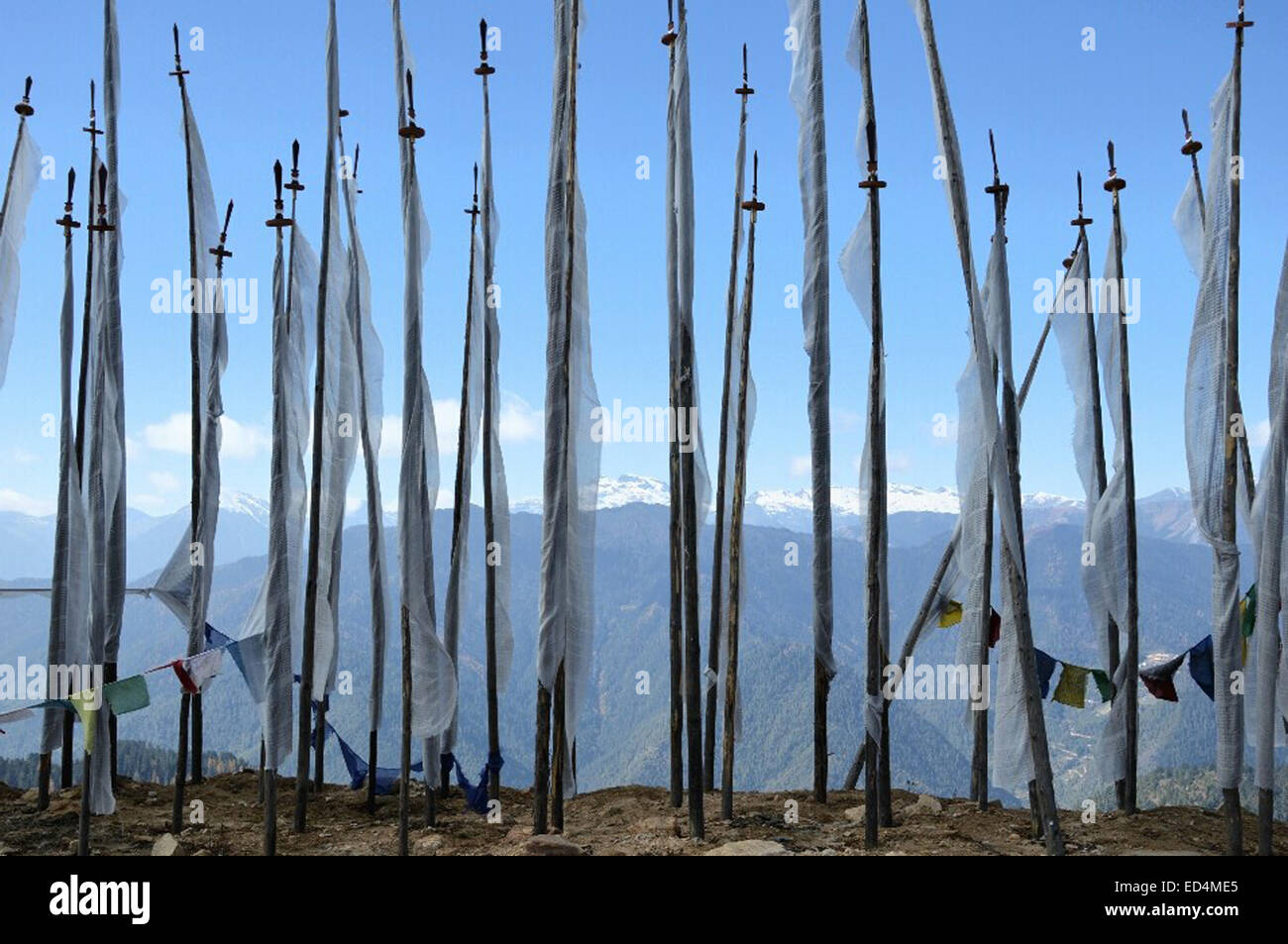 Prayer Flags on Poles Bhutan Stock Photo - Alamy