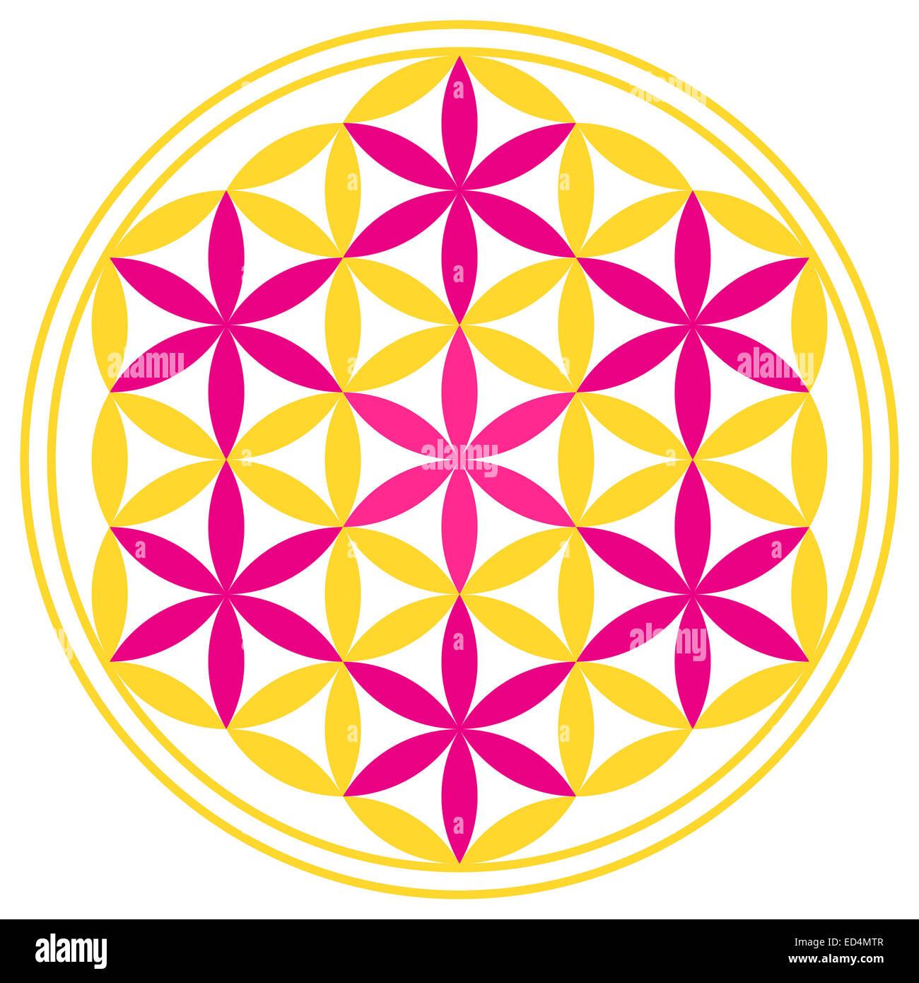 Stars in a pattern hi-res stock photography and images - Alamy