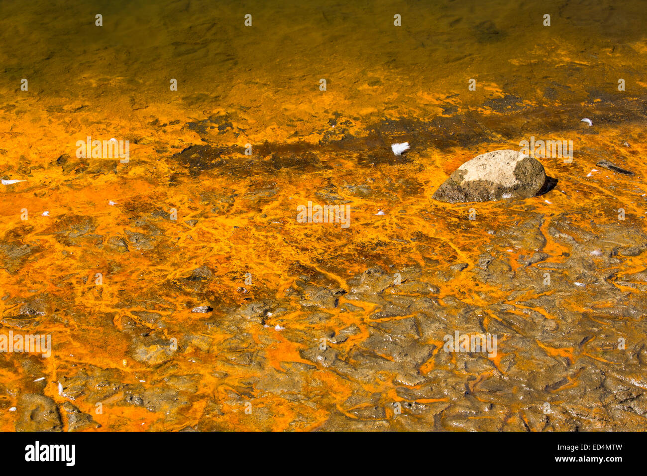 The sludgy remains of Lake Success near Porterville, Bakersfield which ...