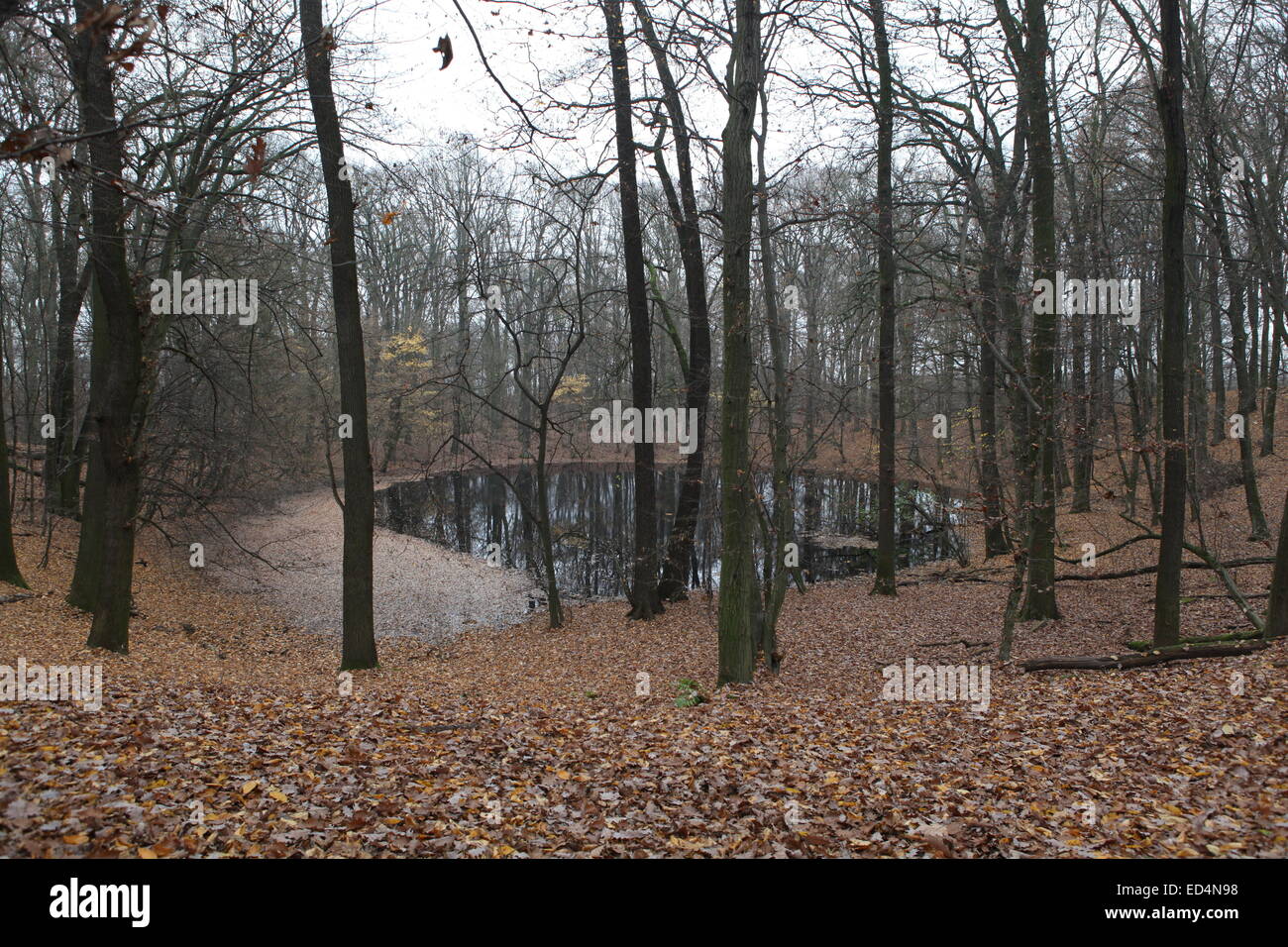 The morasko meteorite reserve hi-res stock photography and images - Alamy