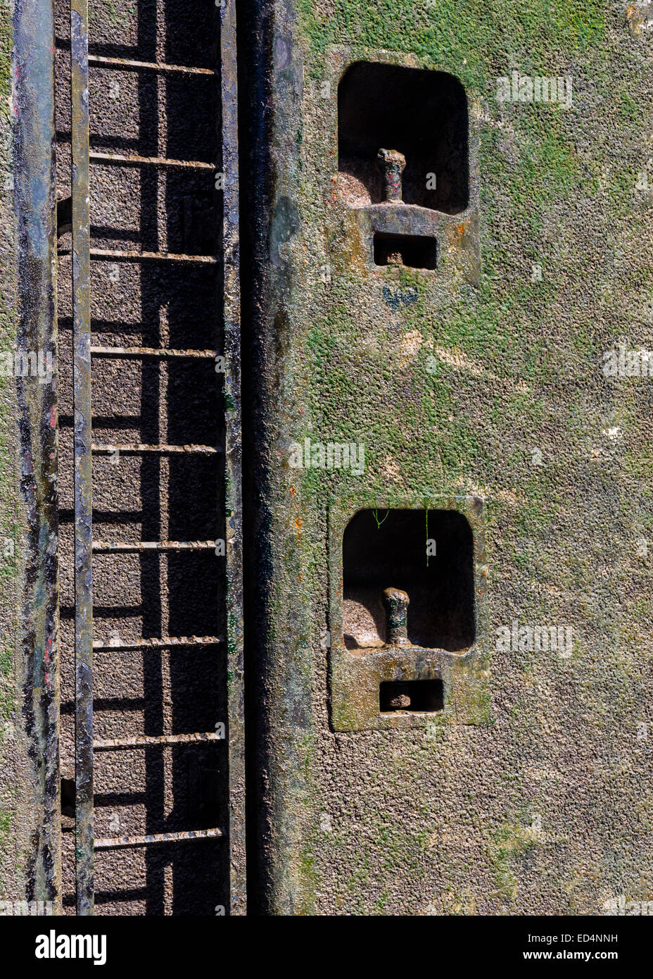 Wet ladder and slimy surface of the canal lock on Rhine Main Danube ...