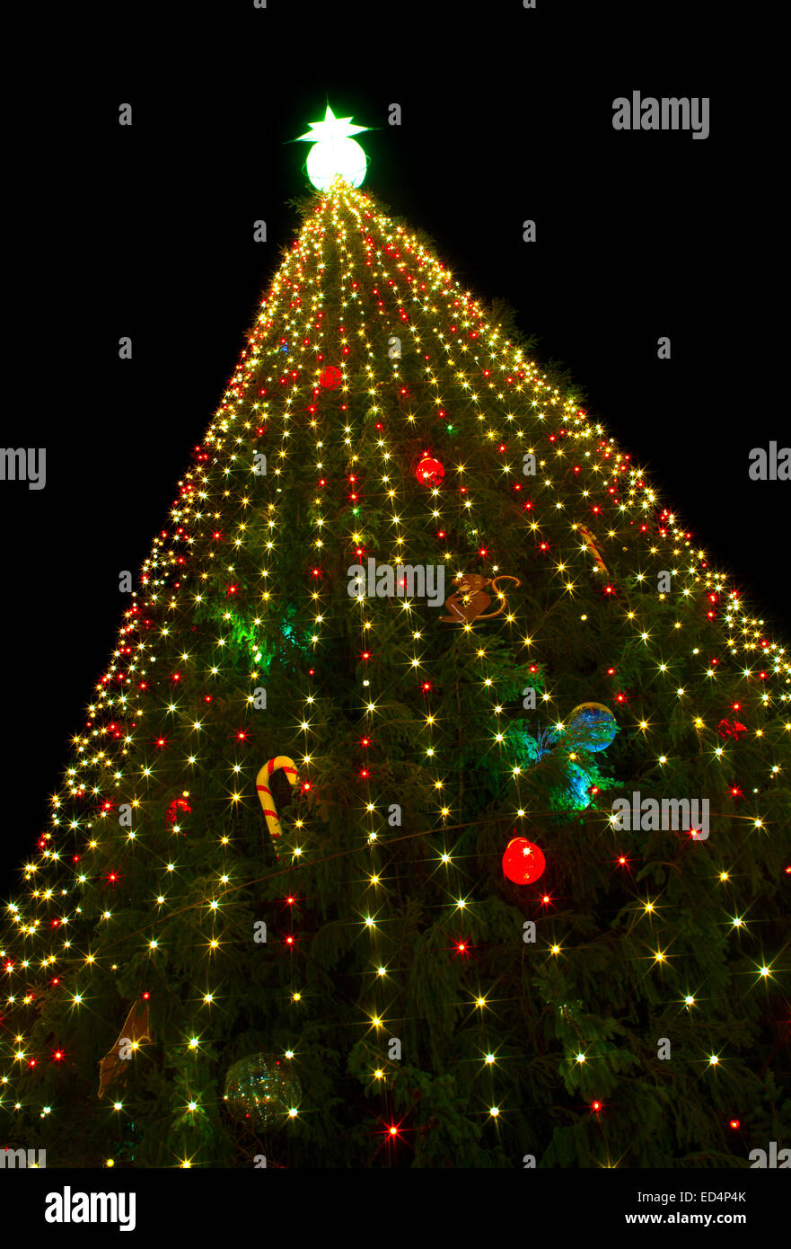 A large Christmas tree Stock Photo - Alamy