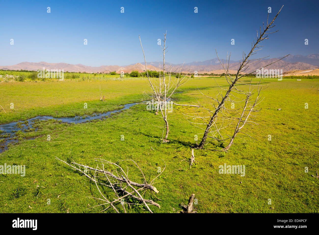 Empty lake hi-res stock photography and images - Alamy