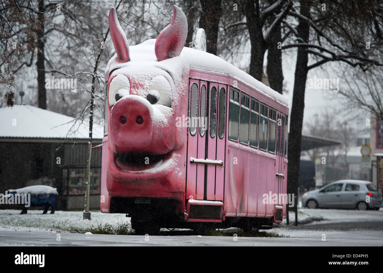 Pig museum hi-res stock photography and images - Alamy