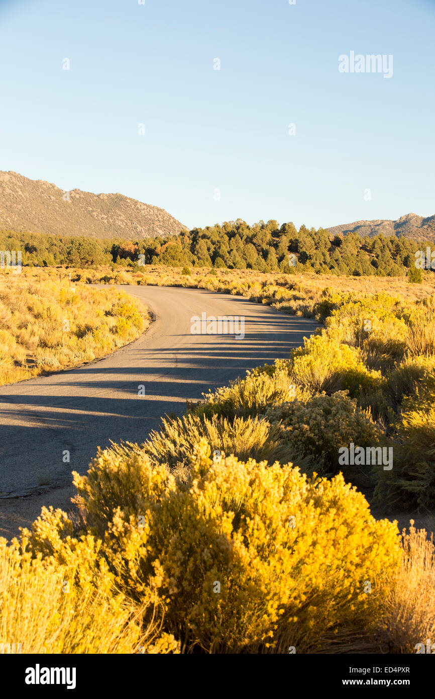 Evening light near Sawtooth Park in the Greenhorn mountains, part of ...