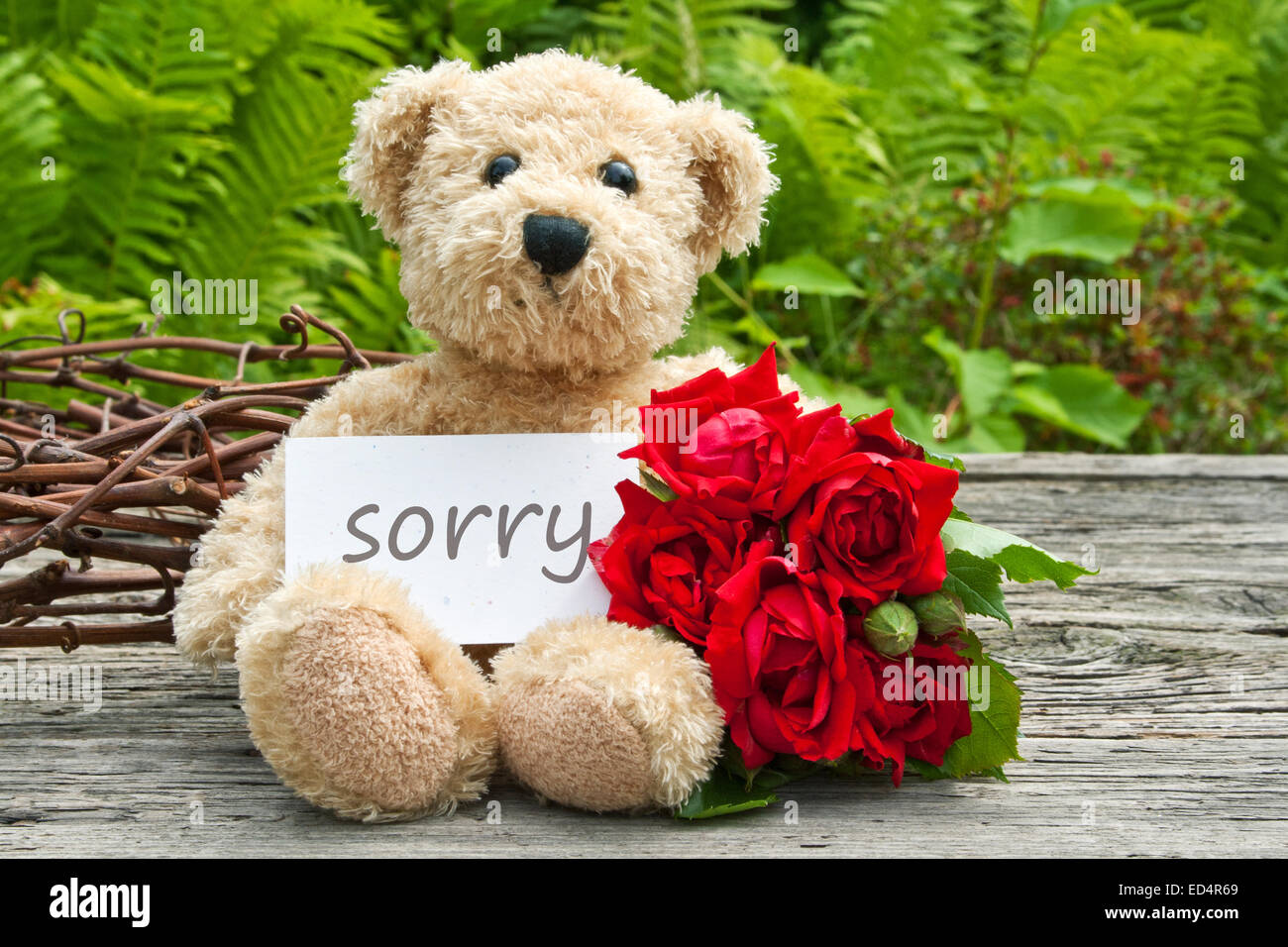 Greeting card with teddy bear, red roses and English text: Sorry Stock ...