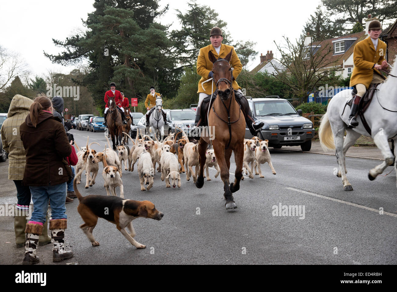 Mortimer, UK. 27th Dec, 2014. Kimblewick Hunt meeting at Mortimer near ...