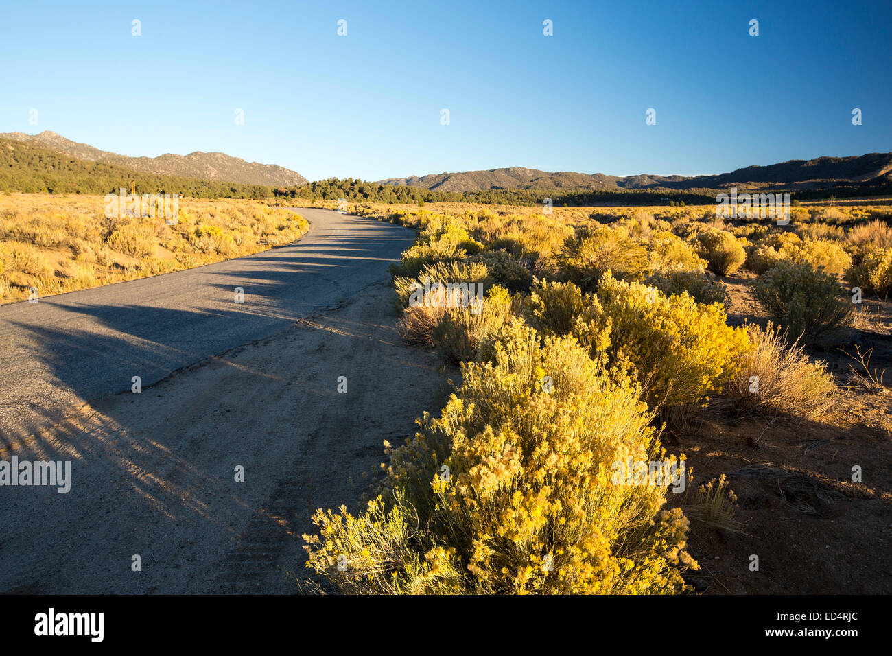 Evening light near Sawtooth Park, above China Lake, California, USA ...