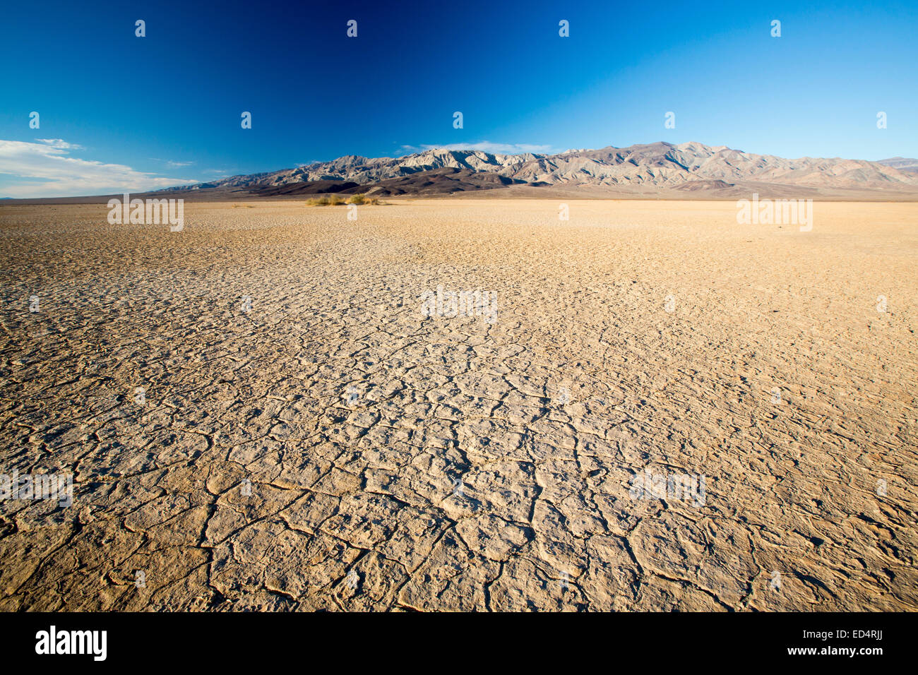 Dry lake bed death valley hi-res stock photography and images - Alamy