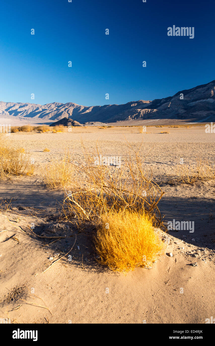 Death Valley is the lowest, hottest, driest place in the USA, with an ...