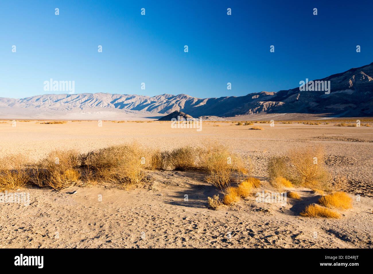 Death Valley is the lowest, hottest, driest place in the USA, with an ...
