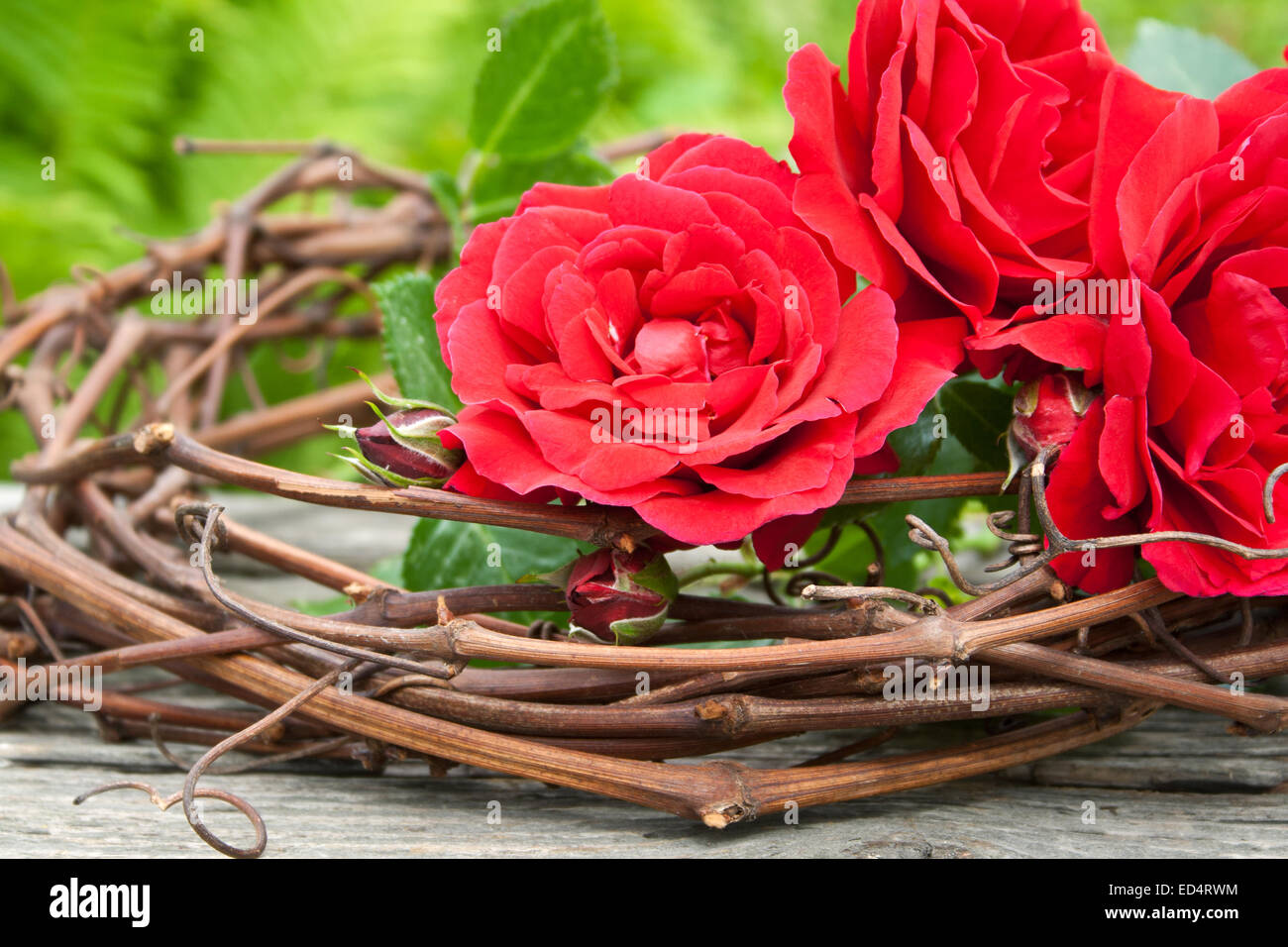 wreath with red roses Stock Photo - Alamy