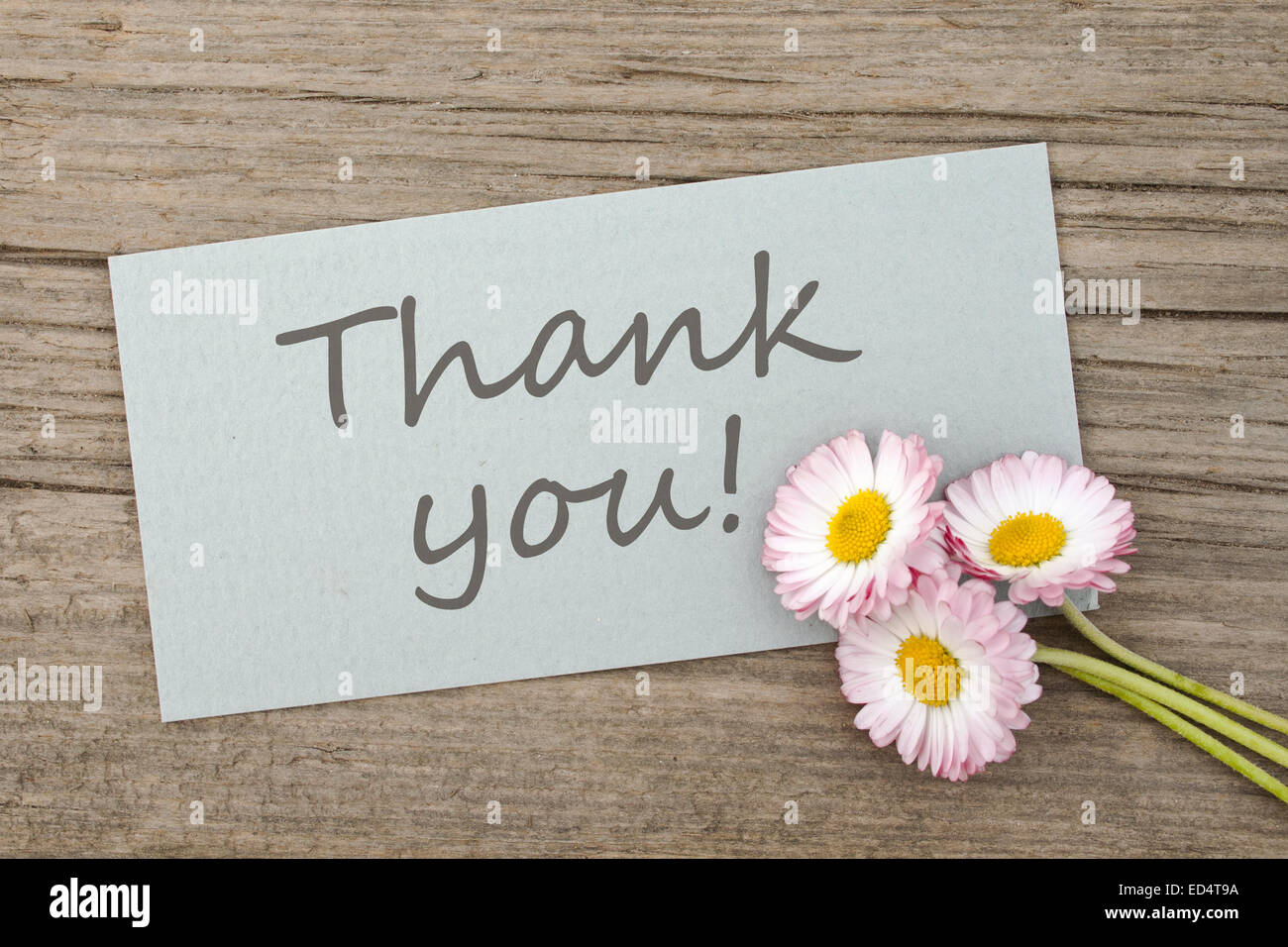 Greeting card with daisies and text: Thank you Stock Photo - Alamy