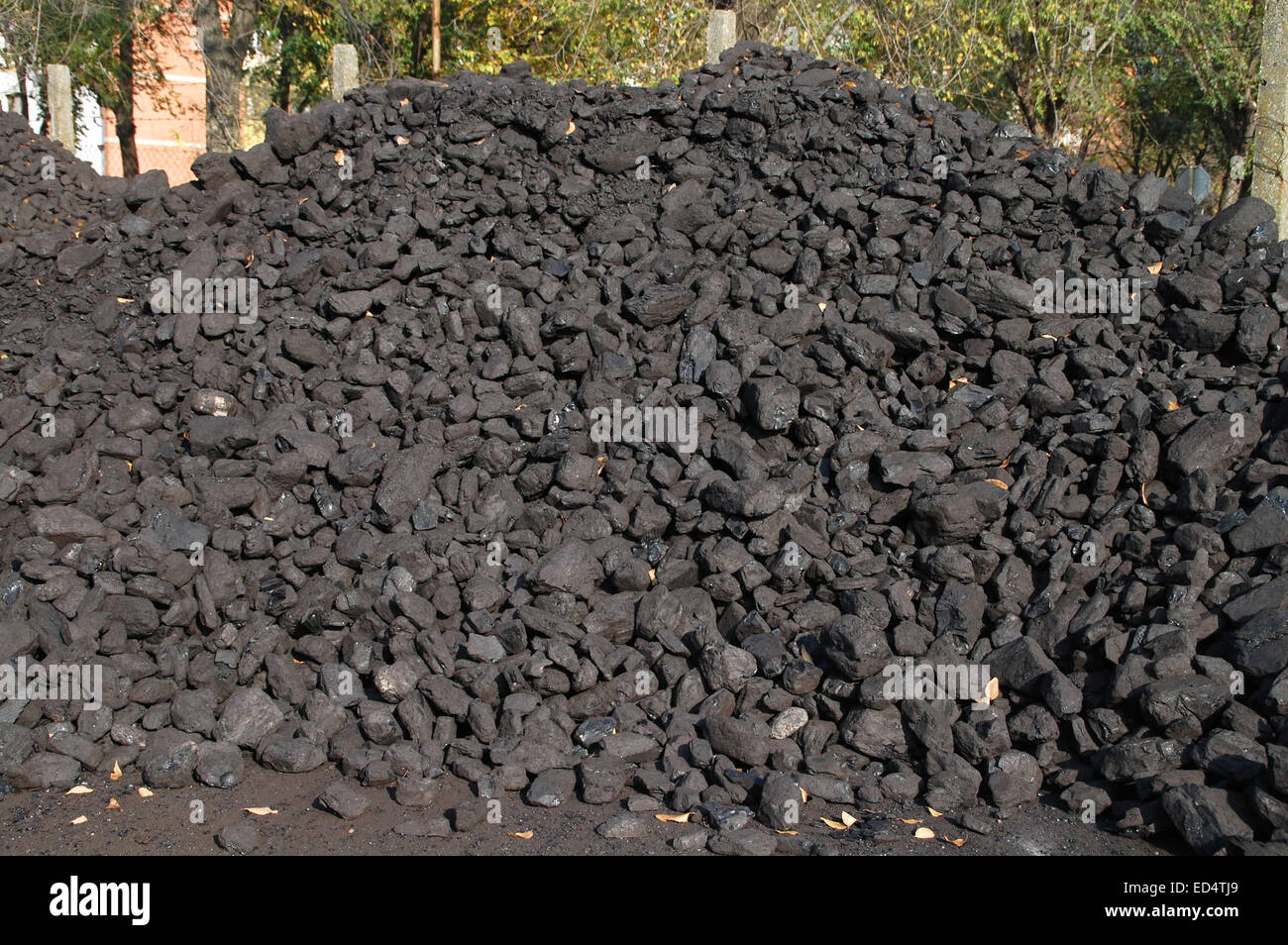 Pile of coal at the depot waiting customers Stock Photo - Alamy