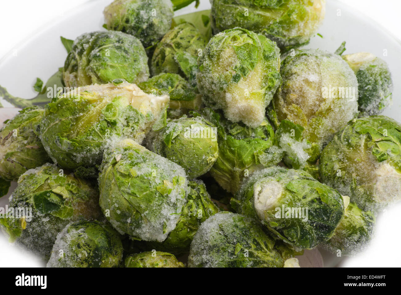 The Brussels sprouts cabbage, fresh bio eat Stock Photo - Alamy