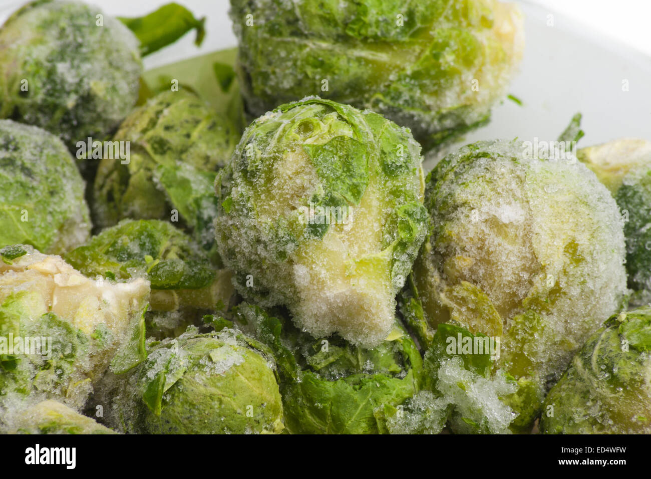 The Brussels sprouts cabbage, fresh bio eat Stock Photo - Alamy