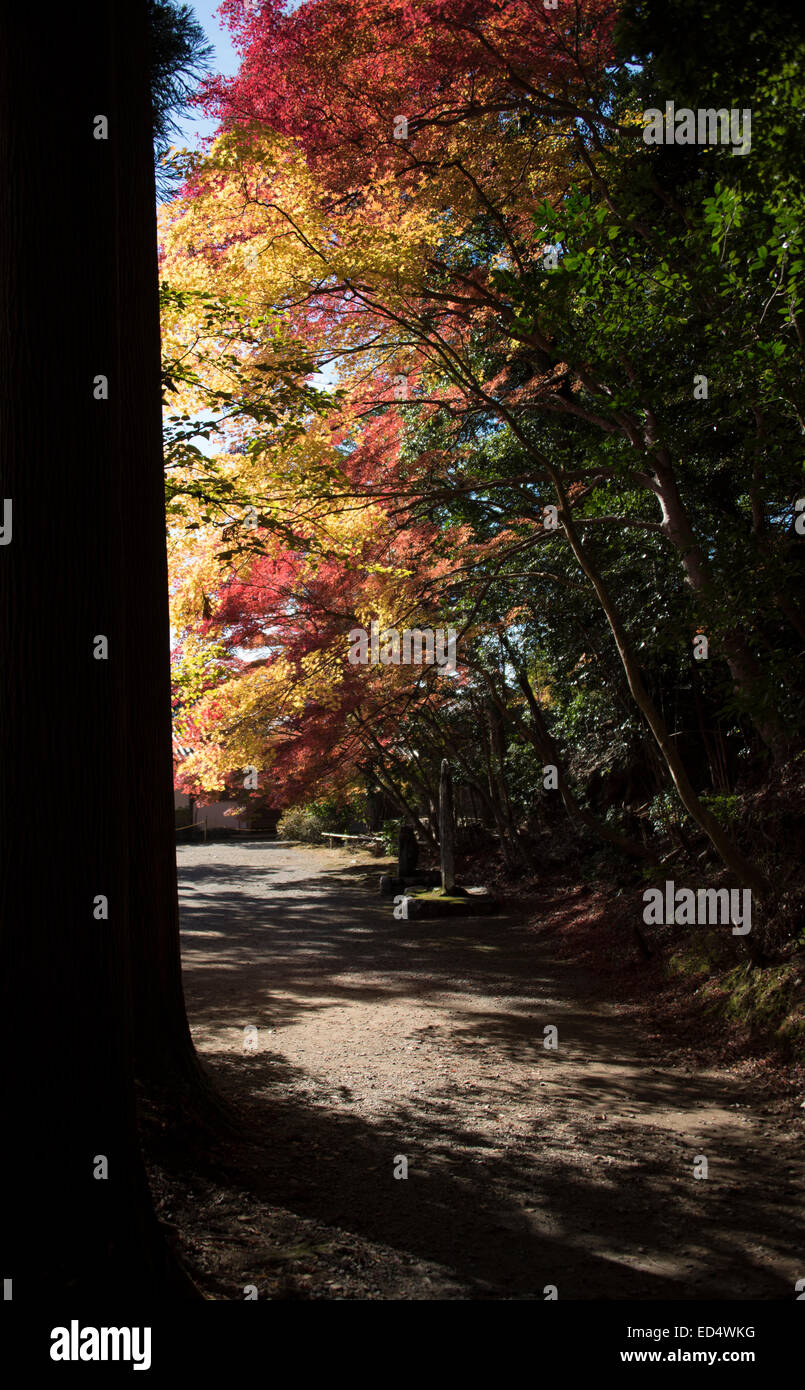 Walking path kyoto hi-res stock photography and images - Alamy
